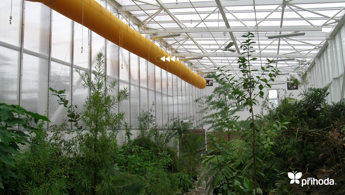 Fabric Ducts in Optimizing Indoor Agriculture Environments | Prihoda NA